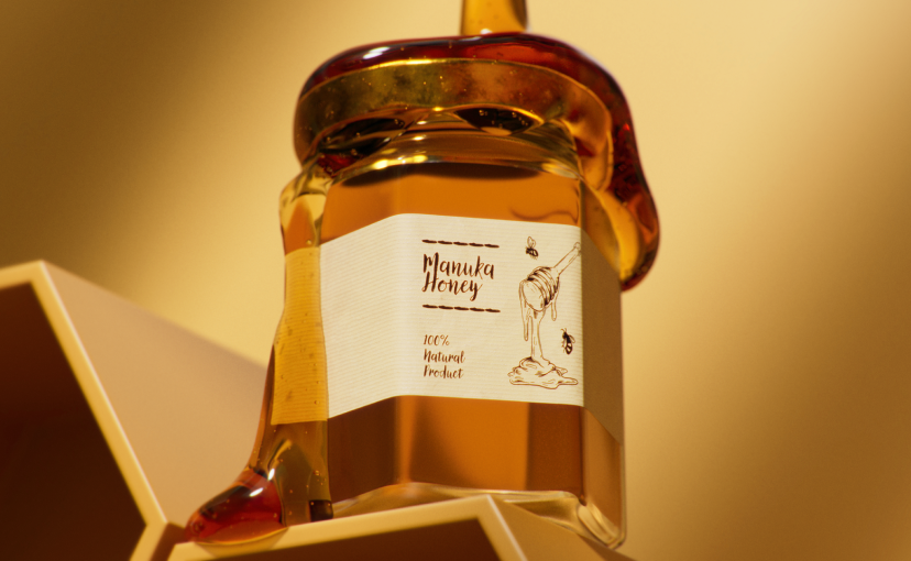 Maxon 2025年6月アップデート | ボーンデジタルストア CGiN